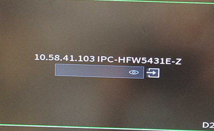 The preview screen prompts to enter the login password – Dahua Overseas ...